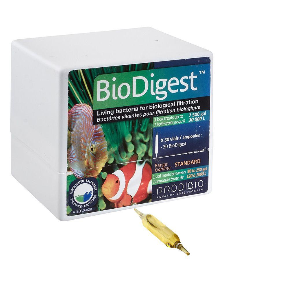 10 Ampolas Prodibio Biodigest Acelerador Biológico | Shopee Brasil