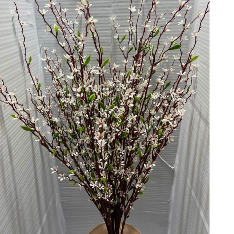 Flor de salgueiro ( Salix Argyracea) | Shopee Brasil