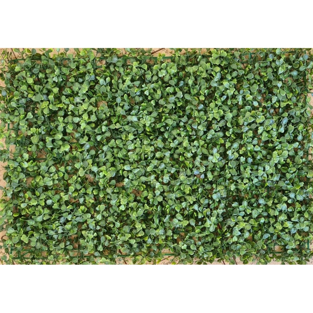 Placa grama buxinho 60x40cm - Artificial Muro Inglês | Shopee Brasil