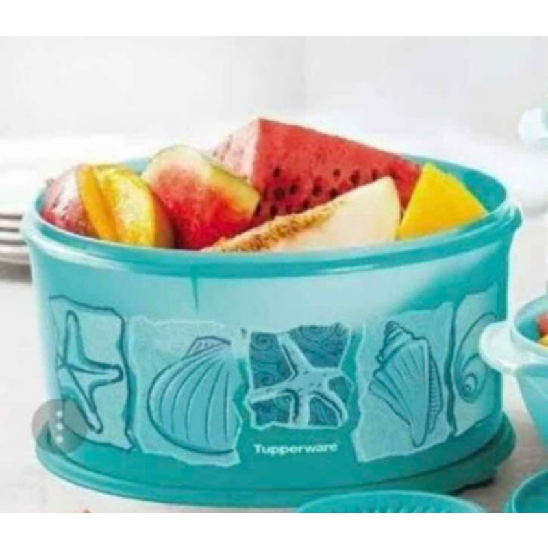 Tupperware Porta Tudo 10L | Shopee Brasil