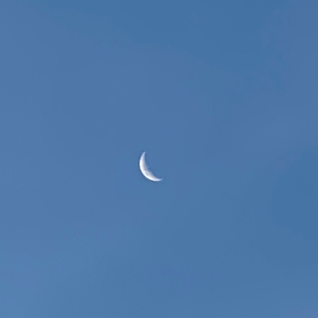 FU MOON, Loja Online | Shopee Brasil