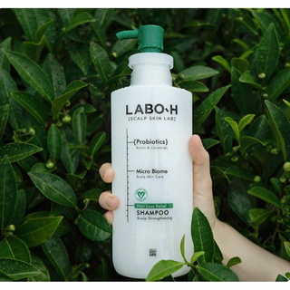 LABOH SHAMPOO LABO-H Para Cabelos XAMPU (4 Tipos) (180ml/400ml ...