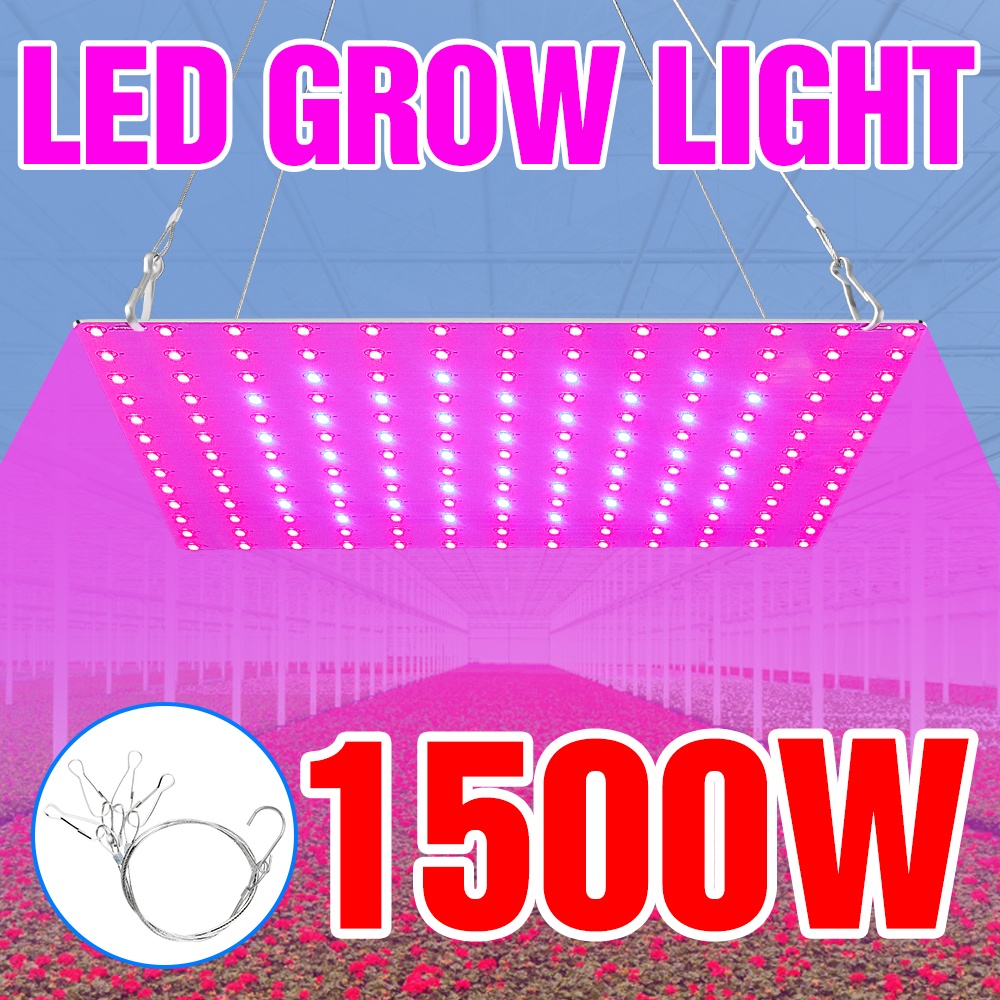 LED Grow Light Phytolampy Espectro 1000W 1500W Interior 220V Sementes ...