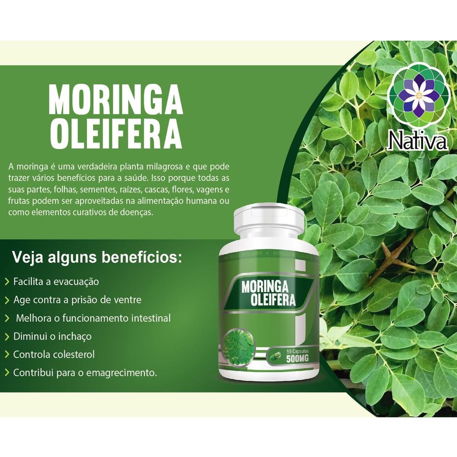 Moringa Olífera 60 Capsulas Flora Nativa 500MG 100% natural | Shopee Brasil