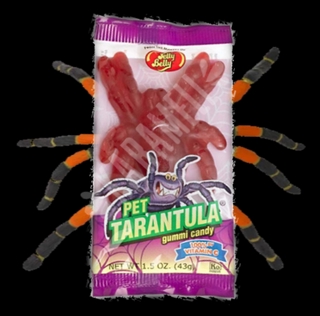 Pet Tarantula Gummi Candy - Jelly Belly - Importado | Shopee Brasil