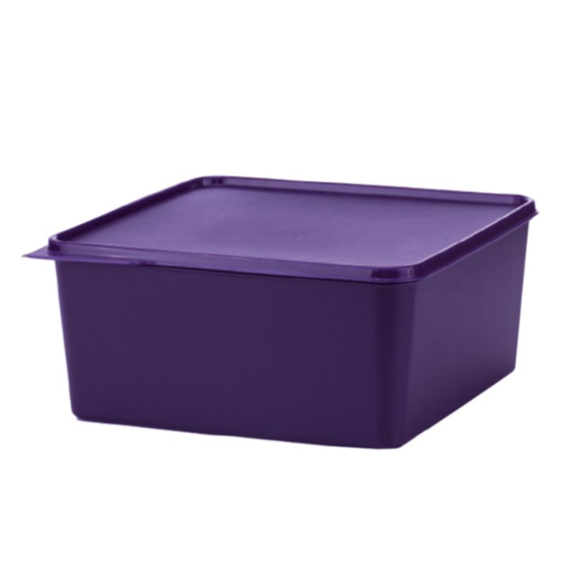 Tupperware Basic Line 5 Litros Roxo. | Shopee Brasil