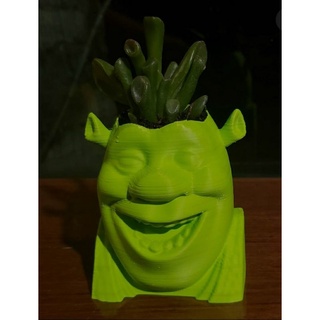 Shrek Vaso Decorativo para Suculentas Orelha Shrek | Shopee Brasil