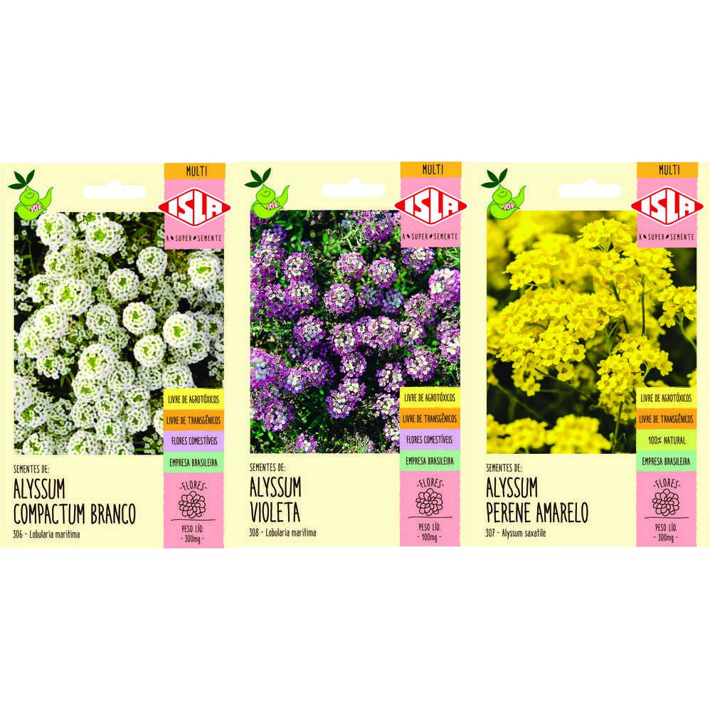 Sementes da Flor Alyssum, Alisso, Flor de Mel 3 Cores Diferentes e ...