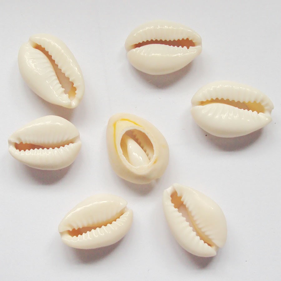 100 peças Buzio Natural Búzios Naturais para Bijuteria/ Artesanato ...