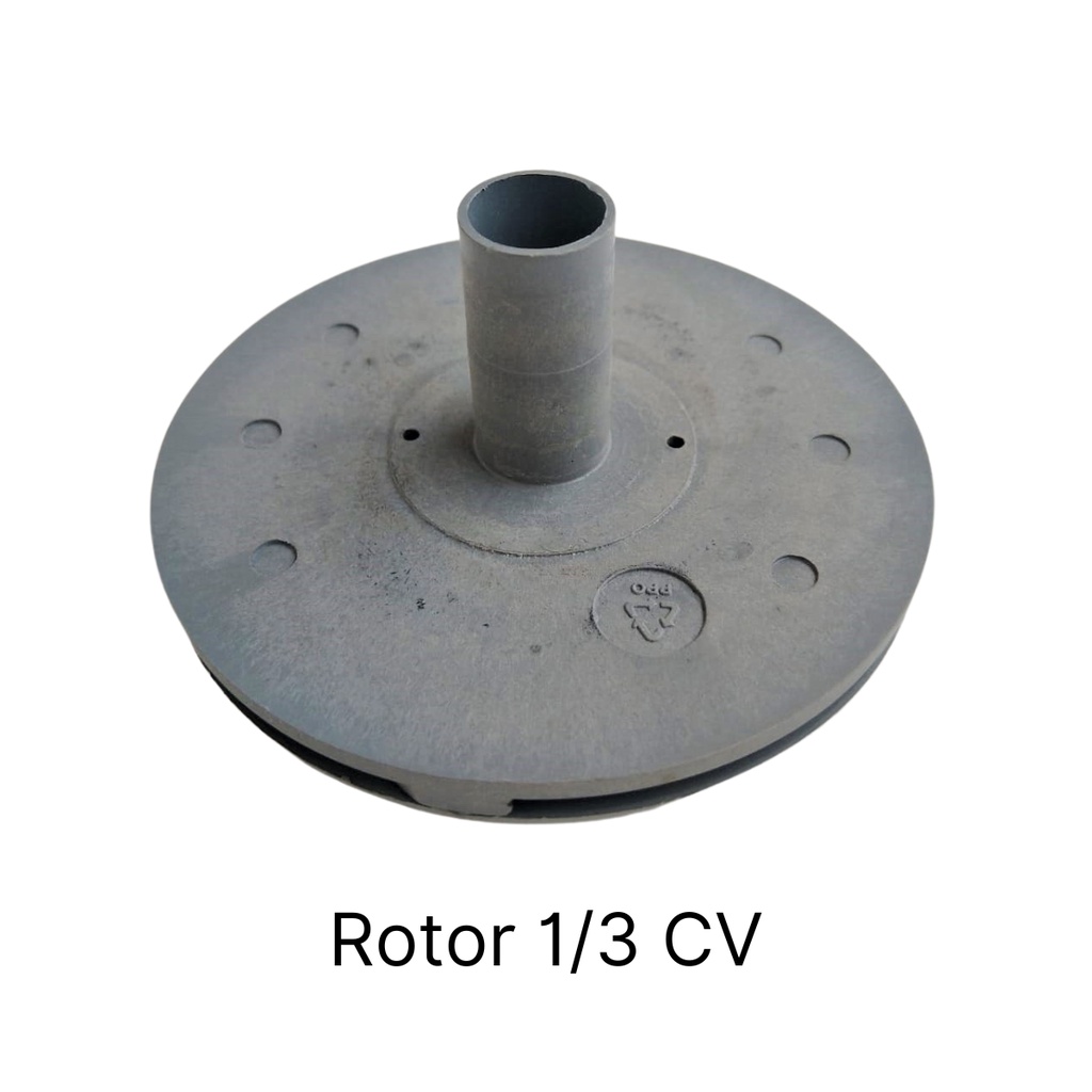 Rotor Bomba Henrimar Modelo Hm Bpf 35 1/3cv Weg Piscina | Shopee Brasil