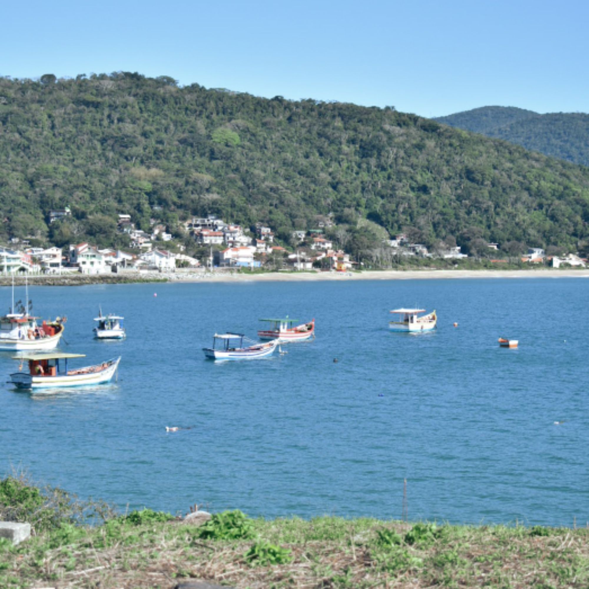 Debora gnbt, Loja Online | Shopee Brasil