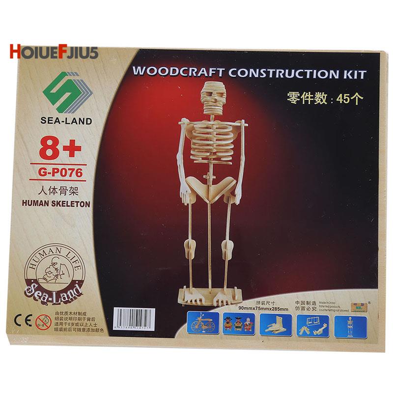 Child Assemble Human Skeleton el 3D Wood Puzzle Toy Construction Kit ...