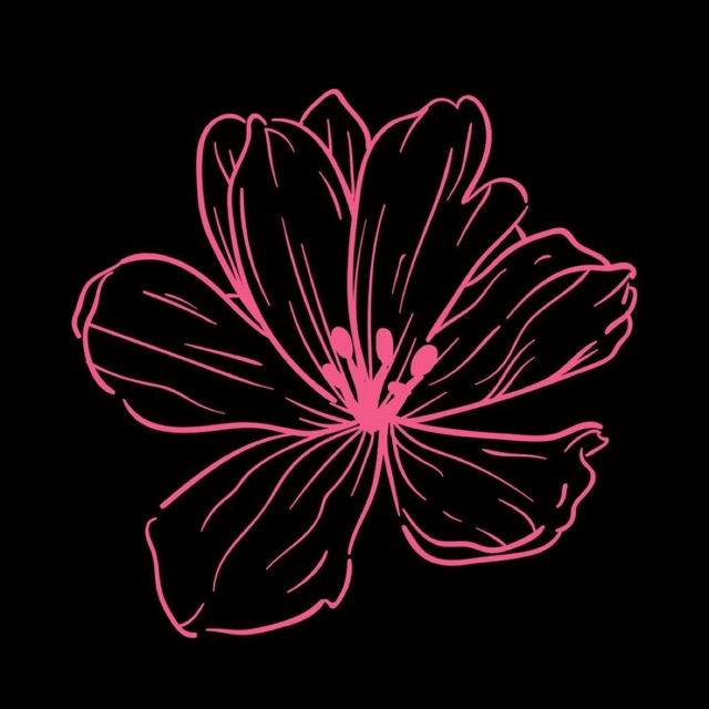 Morenaa Flor, Loja Online | Shopee Brasil