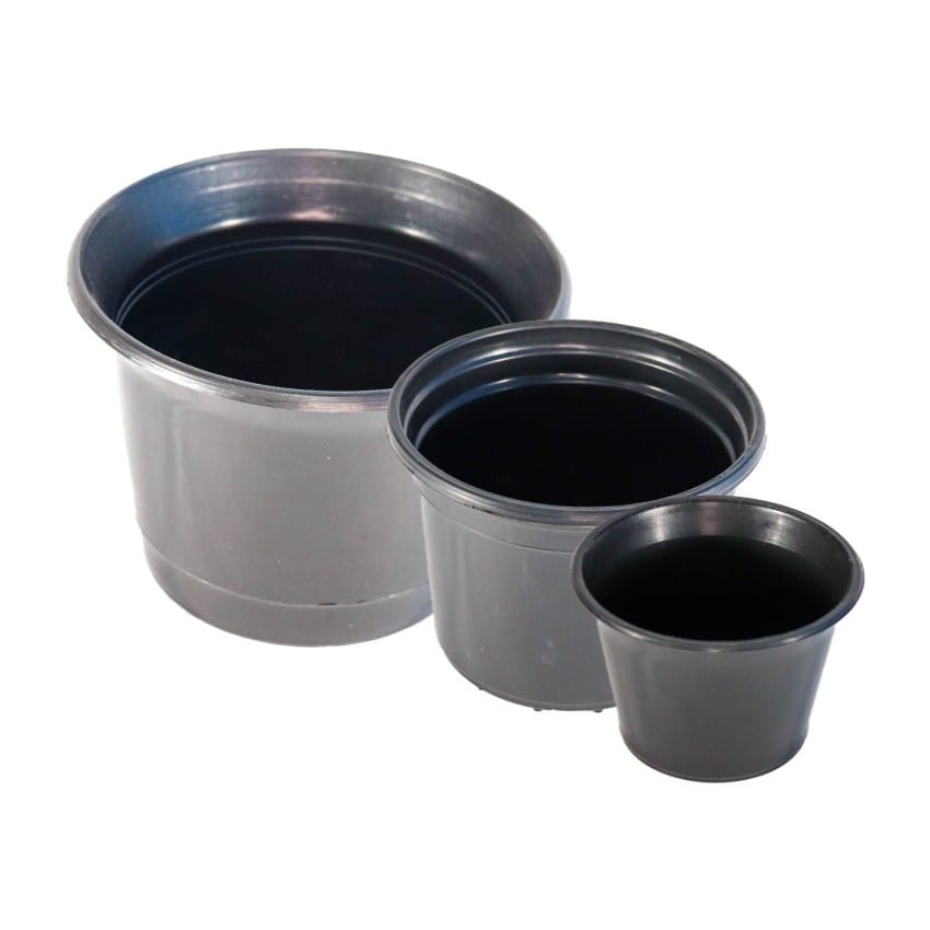 kIT TRIO VASOS (PMG) | Shopee Brasil