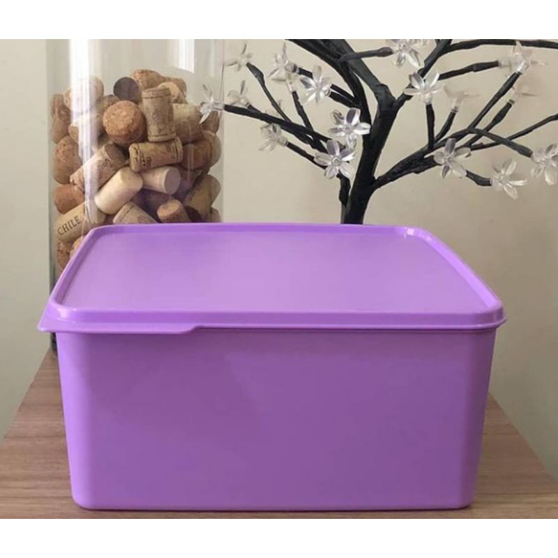 Basic LINE 5 litros TUPPERWARE . | Shopee Brasil