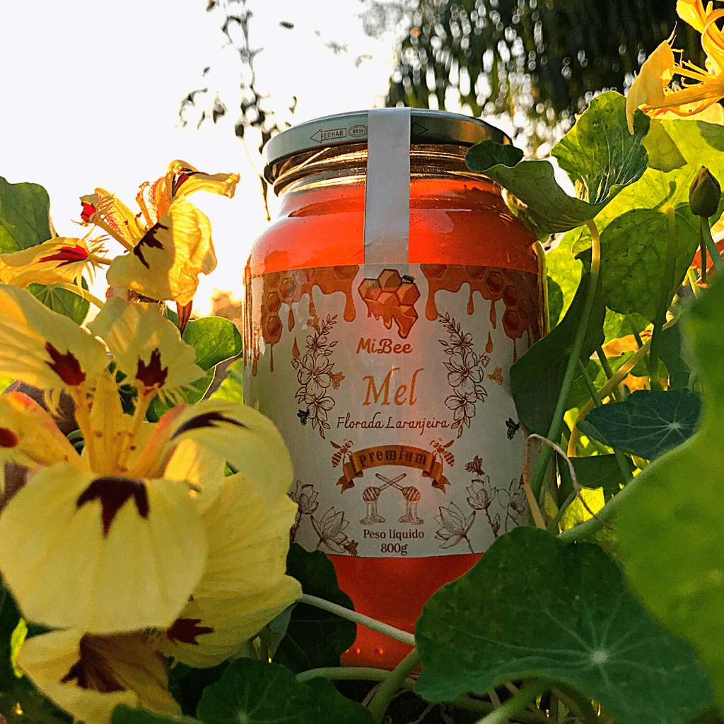 Mel Garrafa Puro 100% Orgânico Florada Laranjeira e Silvestre 1,3kg ...