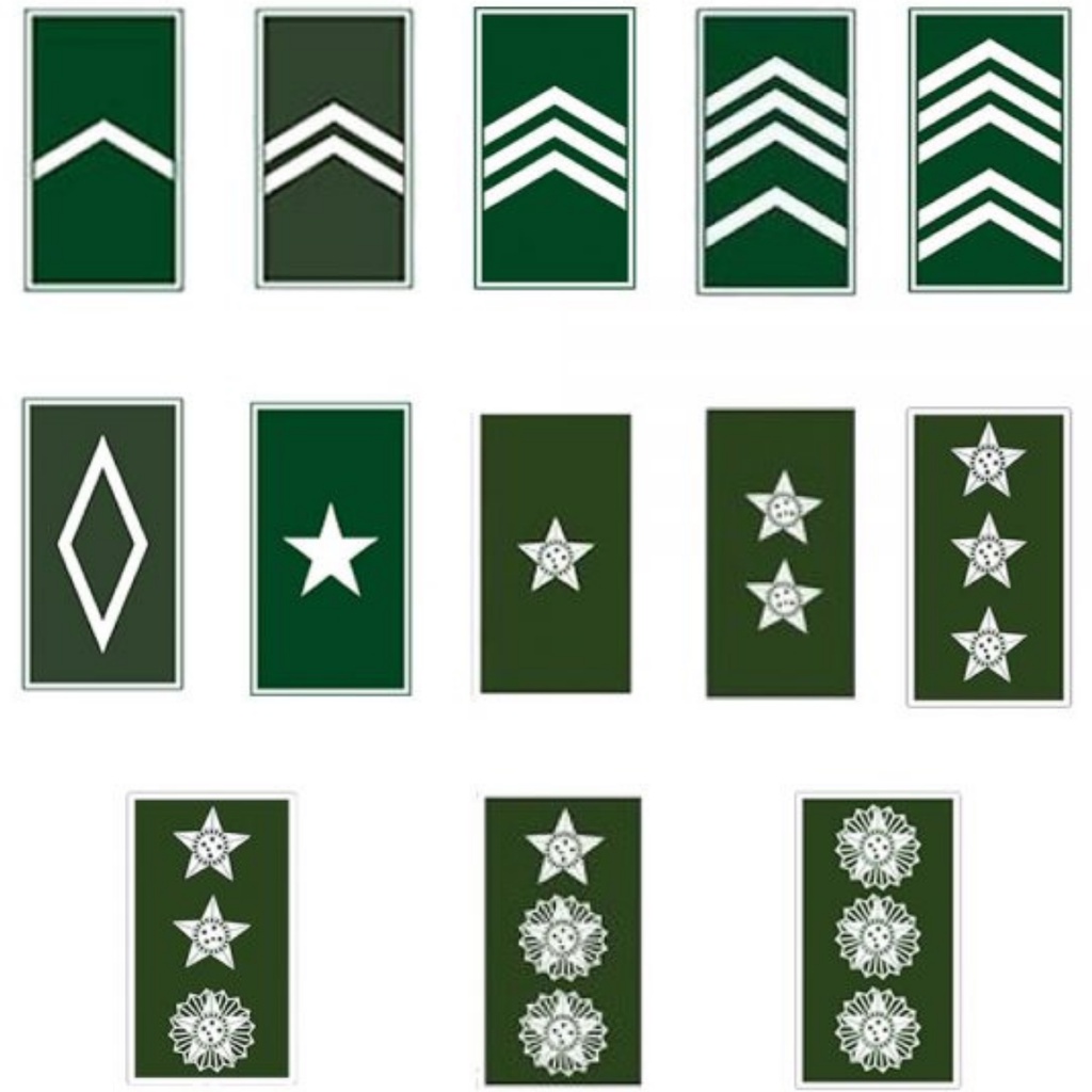 Divisa Distintivo Emborrachado Militar Insígina de Gola Exército ...