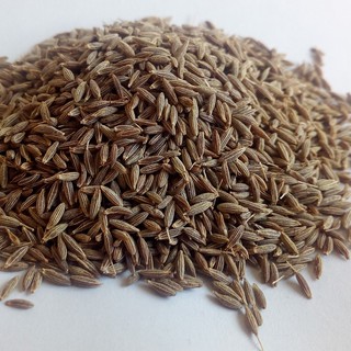 Cominho em Grão 100 gramas | Shopee Brasil