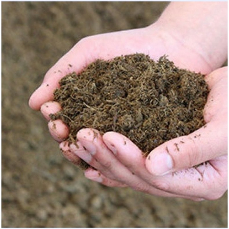 Estrume Esterco De Gado Bovino Adubo Orgânico Sem Terra 6kg | Shopee Brasil