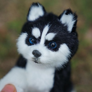Boneco De Pelúcia Simulação Douglas / Pomsky / Pomeranian / Husky ...