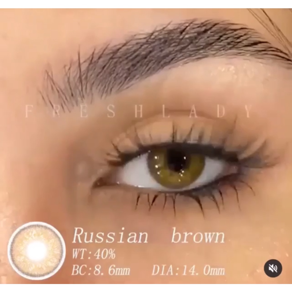 Lente de contato com grau para miopia Russian Brown Freshlady Original ...
