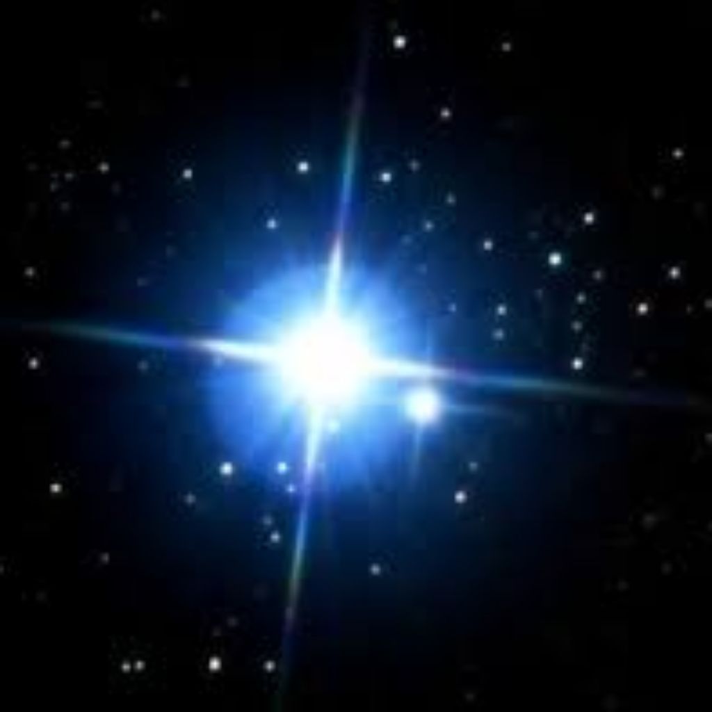 Starnice, Loja Online | Shopee Brasil