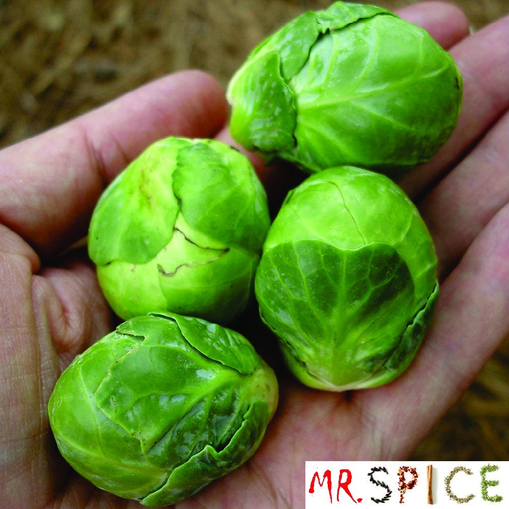 Sementes De Couve De Bruxelas Para Fazer Sementes Mini Repolho | Shopee ...