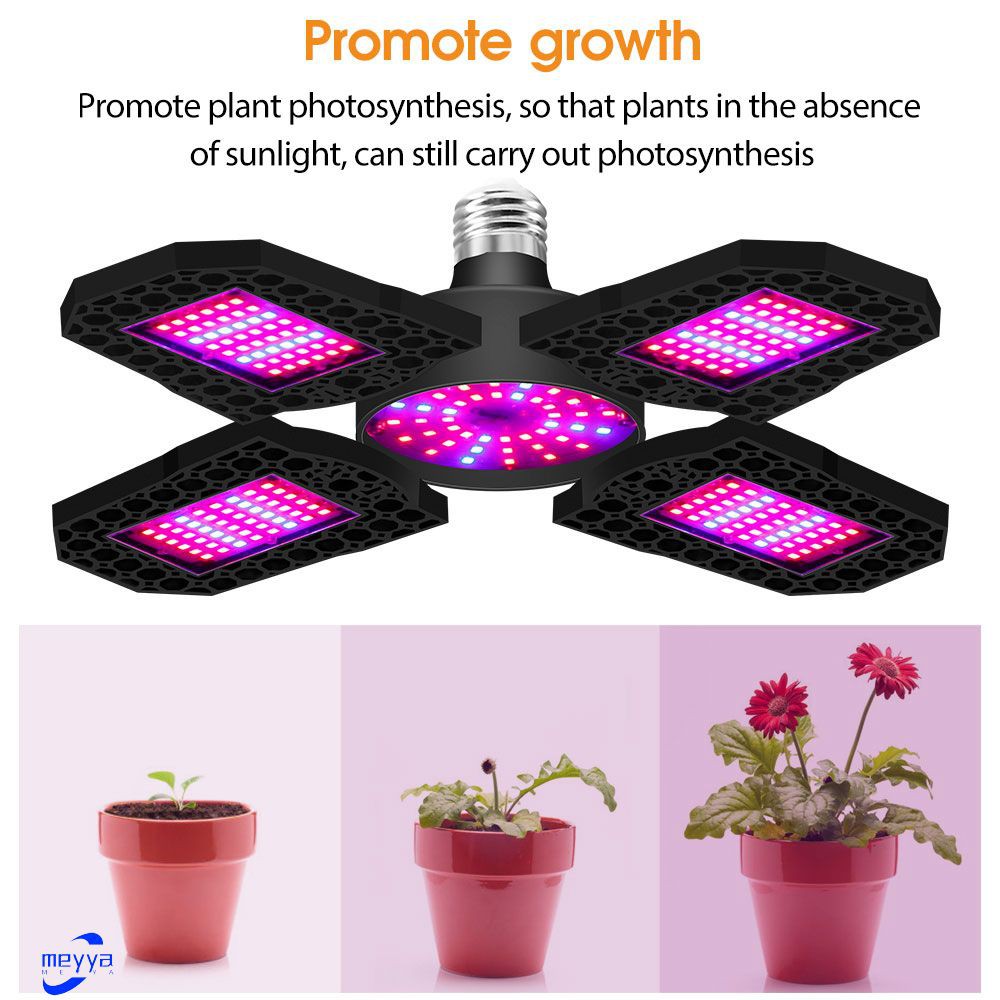 Folding Led Luz Da Planta Indoor Luz De Crescimento Suculenta Espectro ...