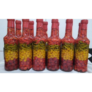 Pimentas Artesanal em conserva Mista Kit Com 12 Frascos com 300 gramas ...