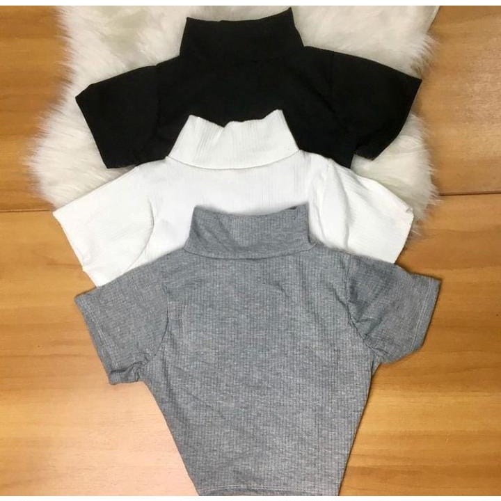 O Cropped Basic canelado gola alta | Shopee Brasil