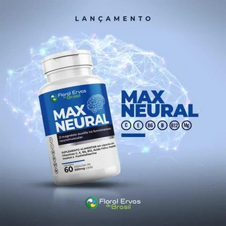 Max Neural 60 cápsulas Magnésio suplemento para memória, Humor ...