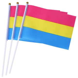 Bandeira Pansexual 14X20 pequena bandeira pan | Shopee Brasil