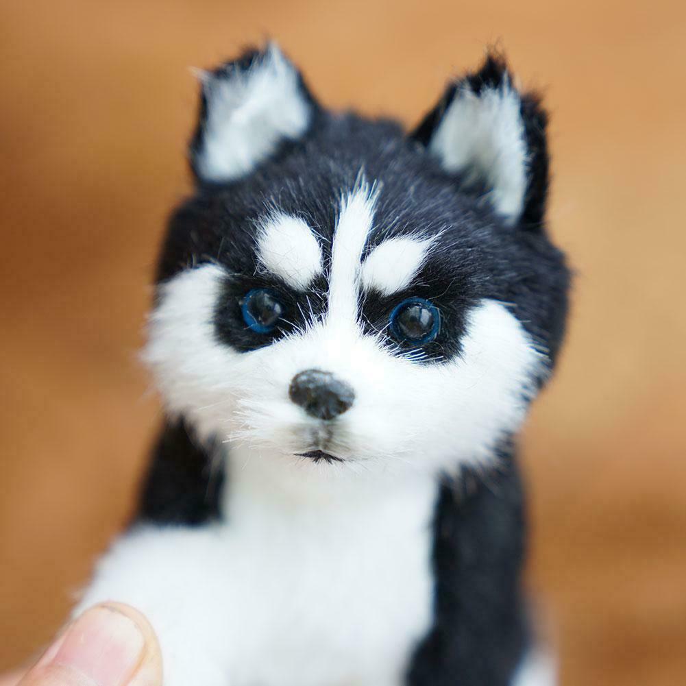 Realistic Husky Dog Simulation Toy Dog Puppy Lifelike 2020 Stuffed Gift ...