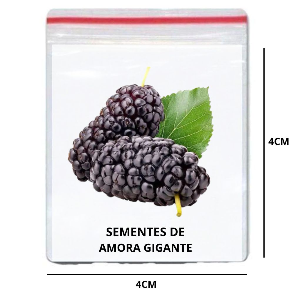 Sementes de Amora Gigante - Alta Germinação | Shopee Brasil