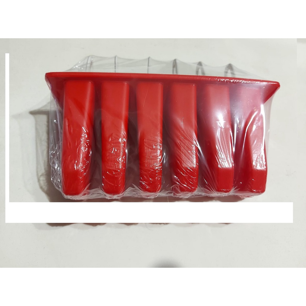 Picoleteira Forma Para 6 Picoles Com Palitos | Shopee Brasil