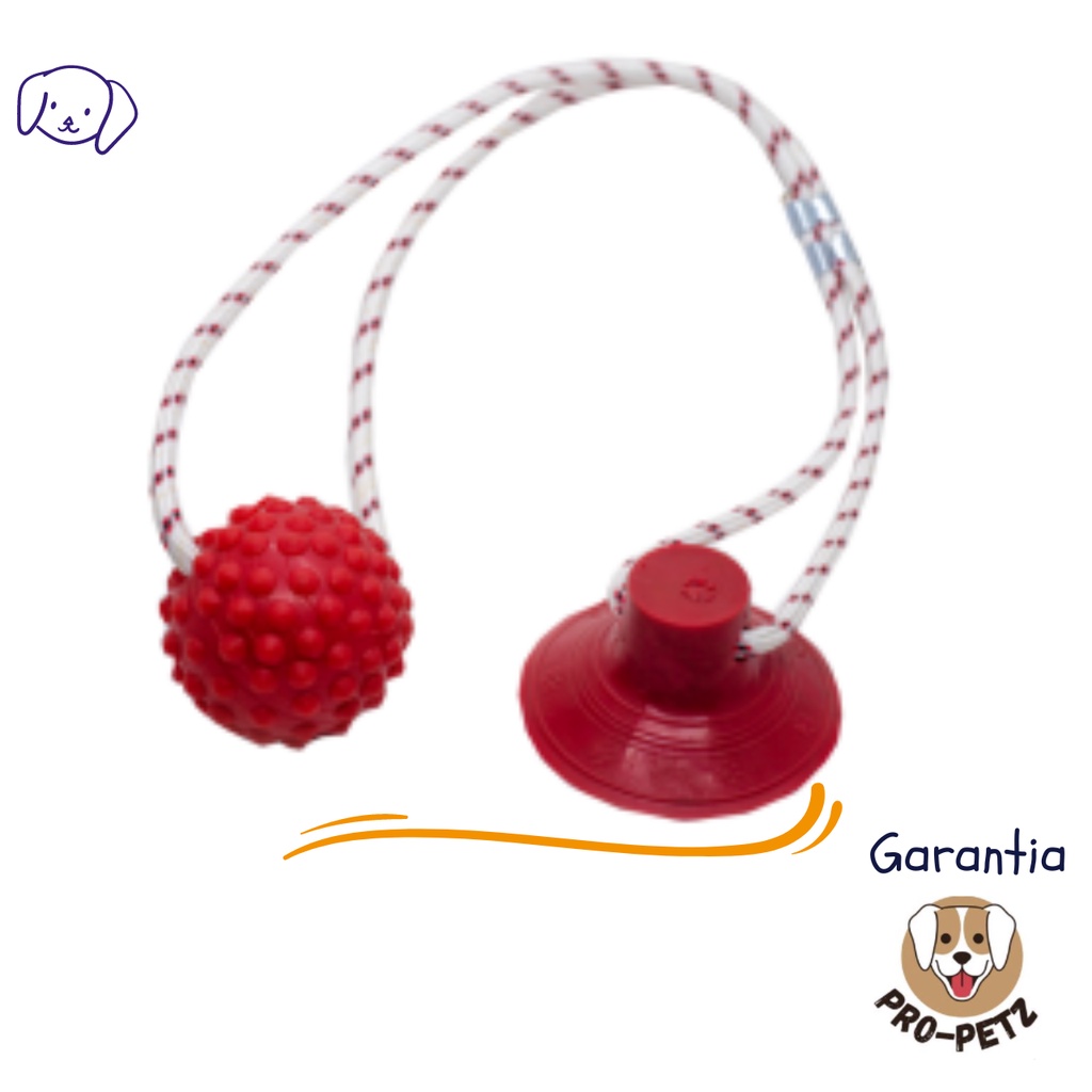 Cabo de Guerra Interativo Para Cachorro Gruda no Chão Com Ventosa Push ...