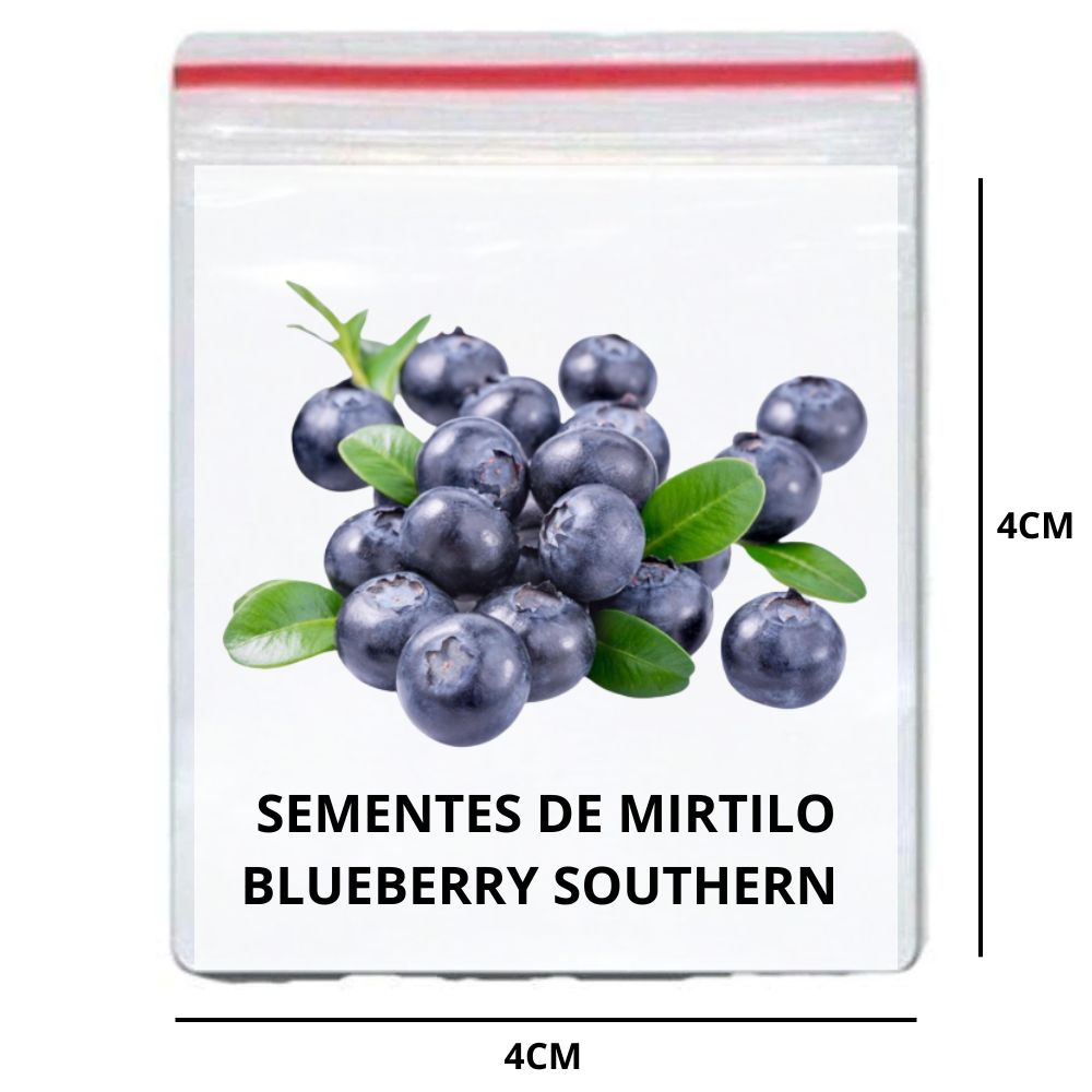 Sementes de Mirtilo Blueberry Southern / A Melhor para Mudas | Shopee ...