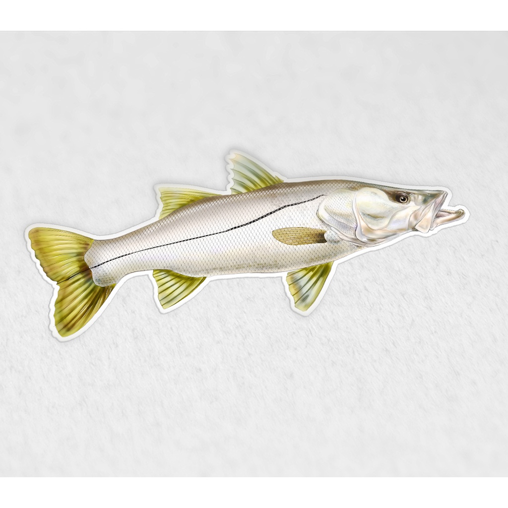 Adesivo Robalo Flecha 25cm x 10cm Em Vinil de Alta Qualidade e ...