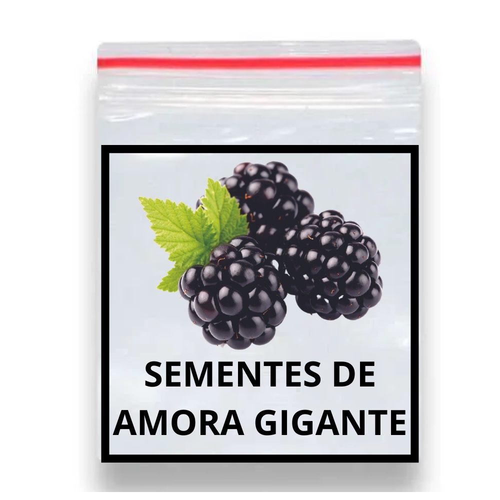 Sementes de AMORA Gigante BlackBerry Americana pra Vasos Mudas Pomar ...