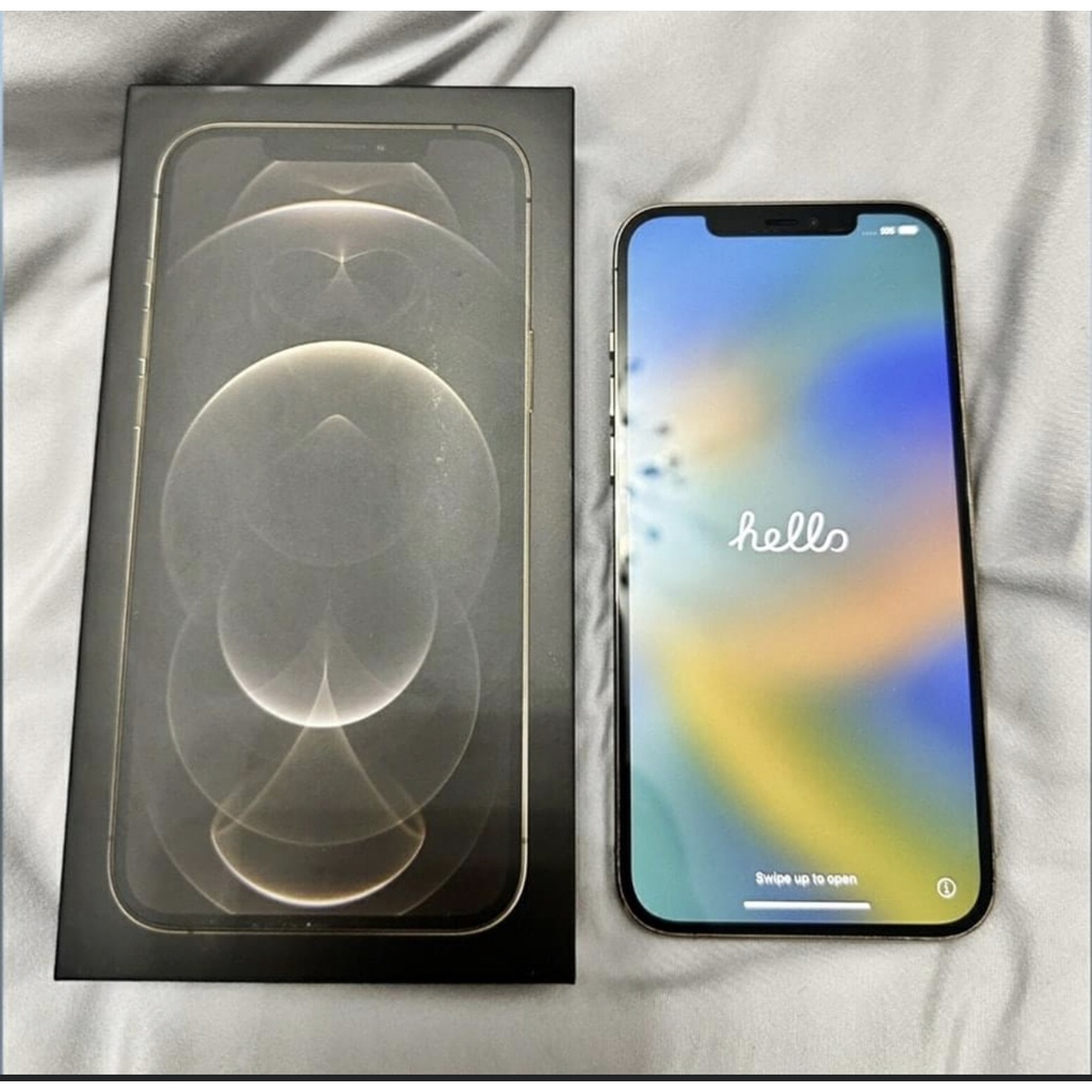 iPhone 12 pro Max 256GB Gold | Shopee Brasil