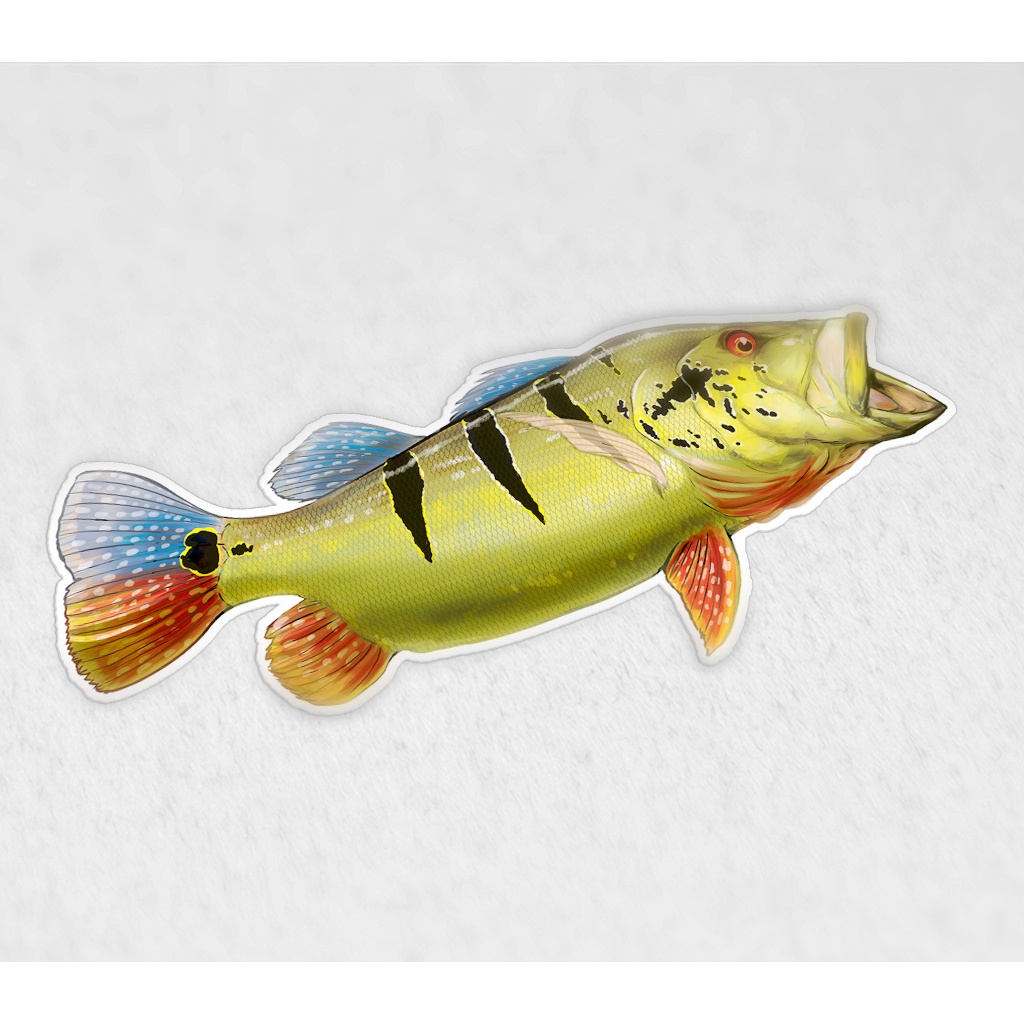 Adesivo Tucunaré Açú 25cm x 10cm Em Vinil de Alta Qualidade e ...