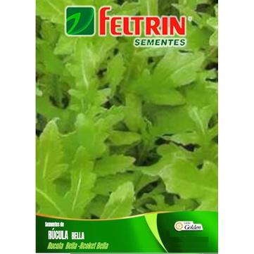 10 sementes de Rucula Bella | Shopee Brasil