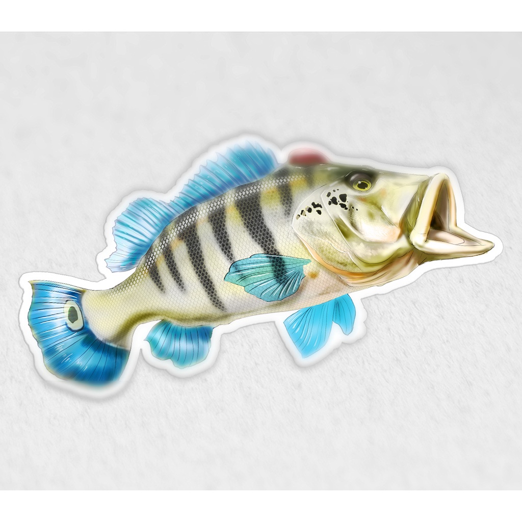 Adesivo Tucunaré Azul 25cm x 10cm Em Vinil de Alta Qualidade e ...