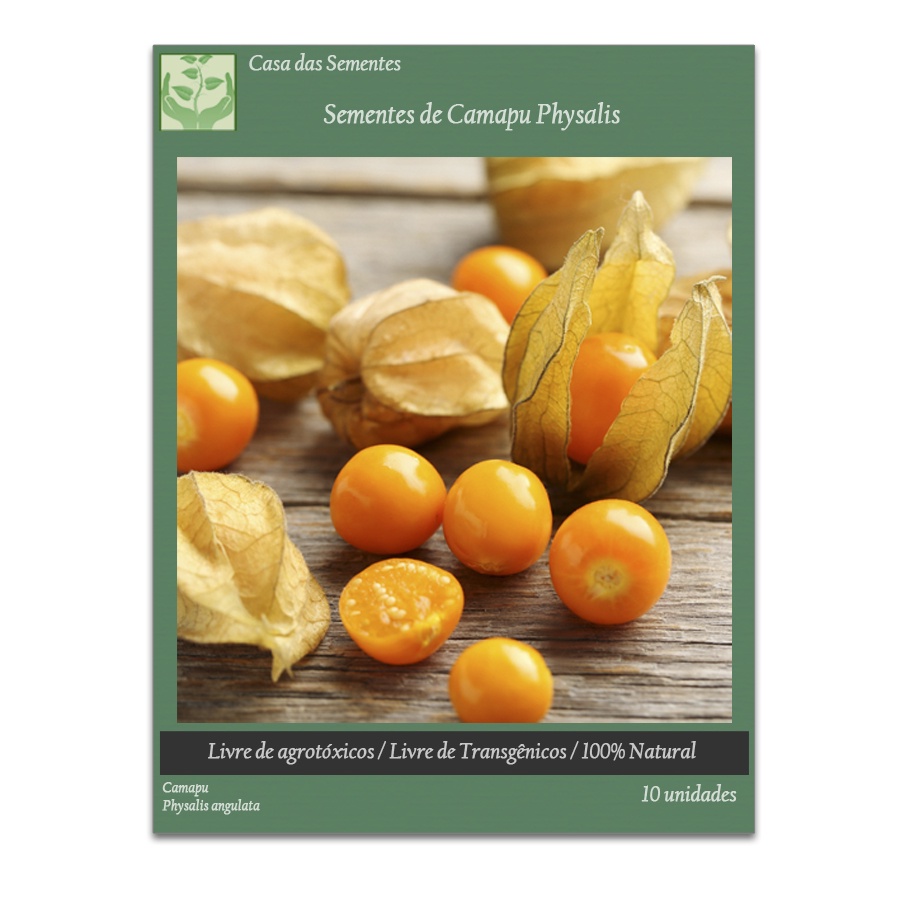 Sementes da Fruta Camapu Physalis Angulata para plantio de Mudas ...