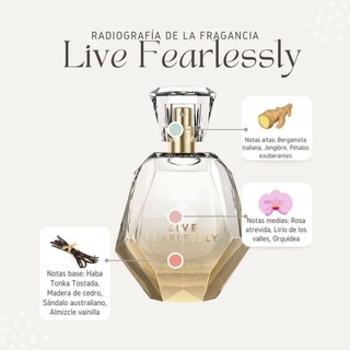 Perfume Deo Parfum Love Fearlessly Live Fearlessly Dream Fearlessly ...