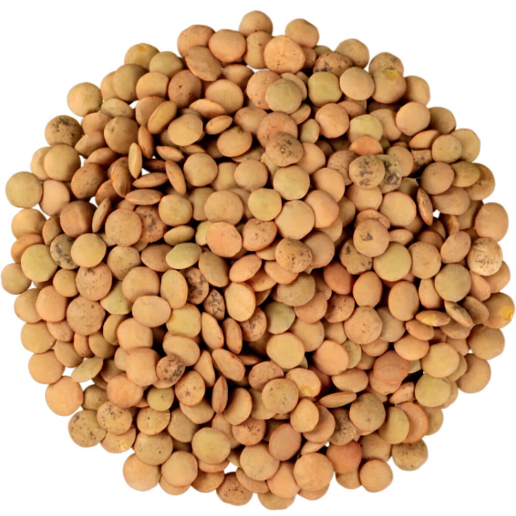 Lentilha Canadense Verde Importada Premium 1kg | Shopee Brasil