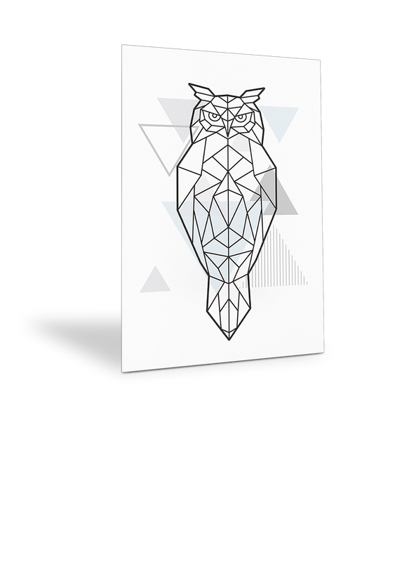 Placa Decorativa 20x30cm Coruja formas geometricas | Shopee Brasil