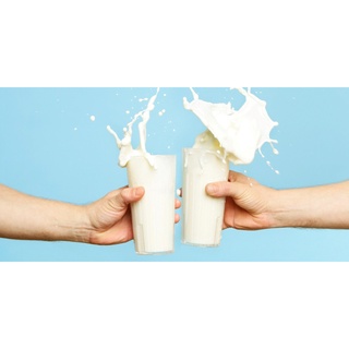 Zerolac Enzima Lactase 10.000 fcc 30 Caps Original Zero Açúcar ...