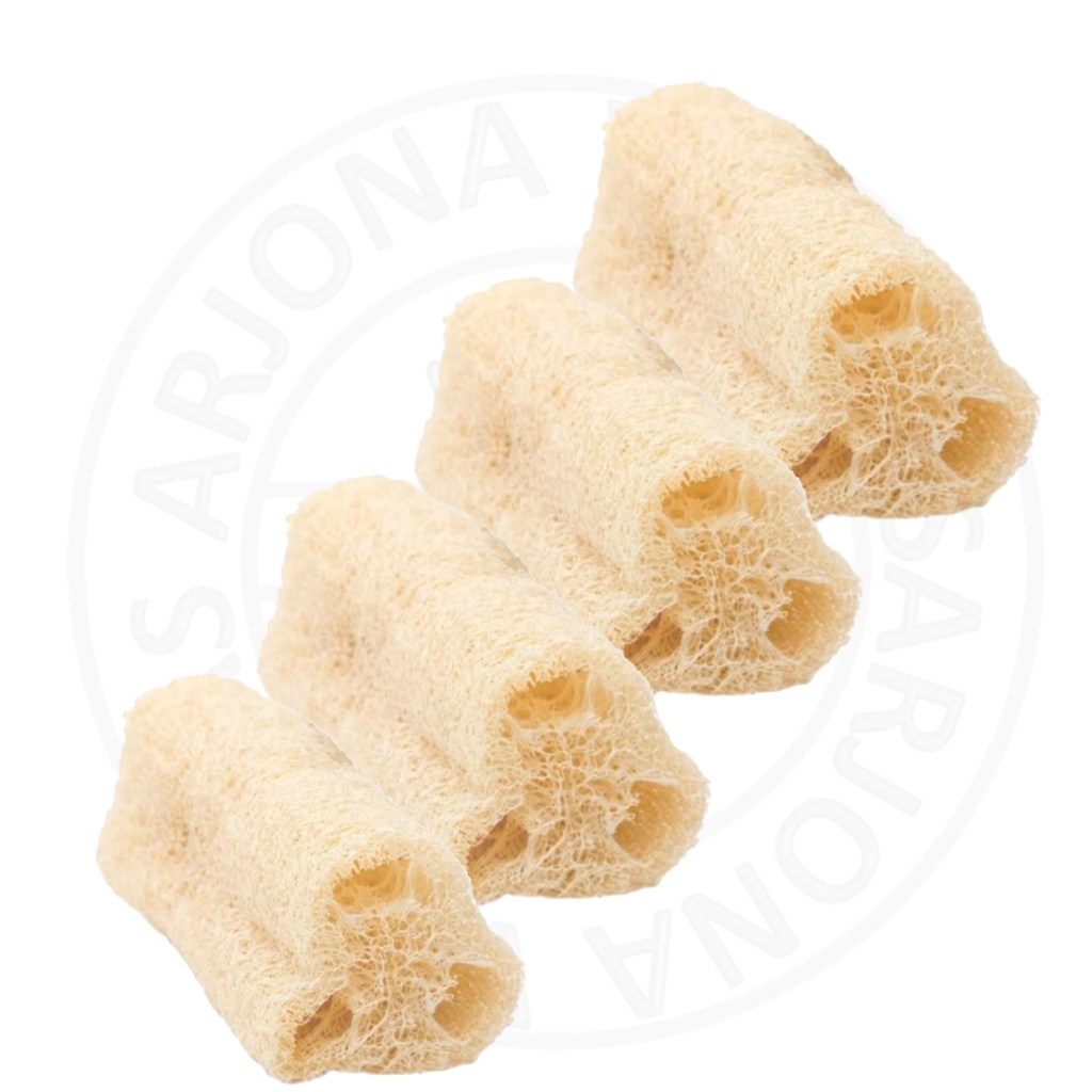 Bucha Vegetal 100% Natural Grossa 14x8 | Shopee Brasil