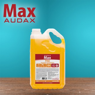 LINHA DE LIMPEZA AUDAX MAX ALTO PODER 5 LITROS | Shopee Brasil